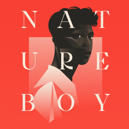NATURE BOY - Studio Soleil